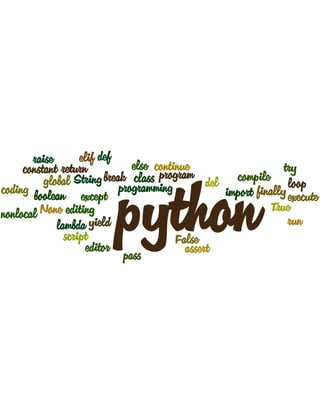 Python programming-expressed-in-word-clouds | PDF