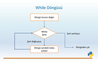 Python While Döngüsü Pdf