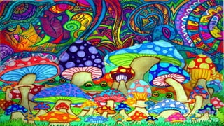 Python 101 language features and functional programming | PPT