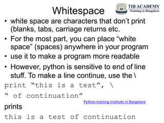 Python basics | PPTX