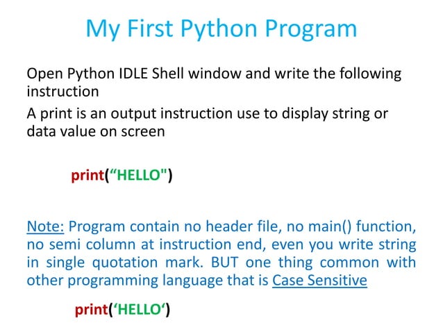 Python basics