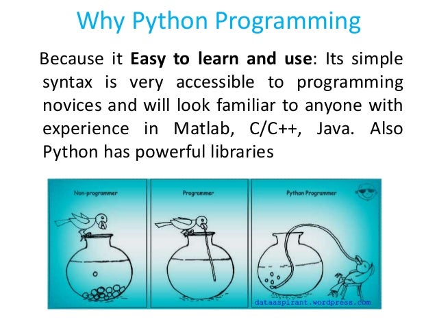 Python basics