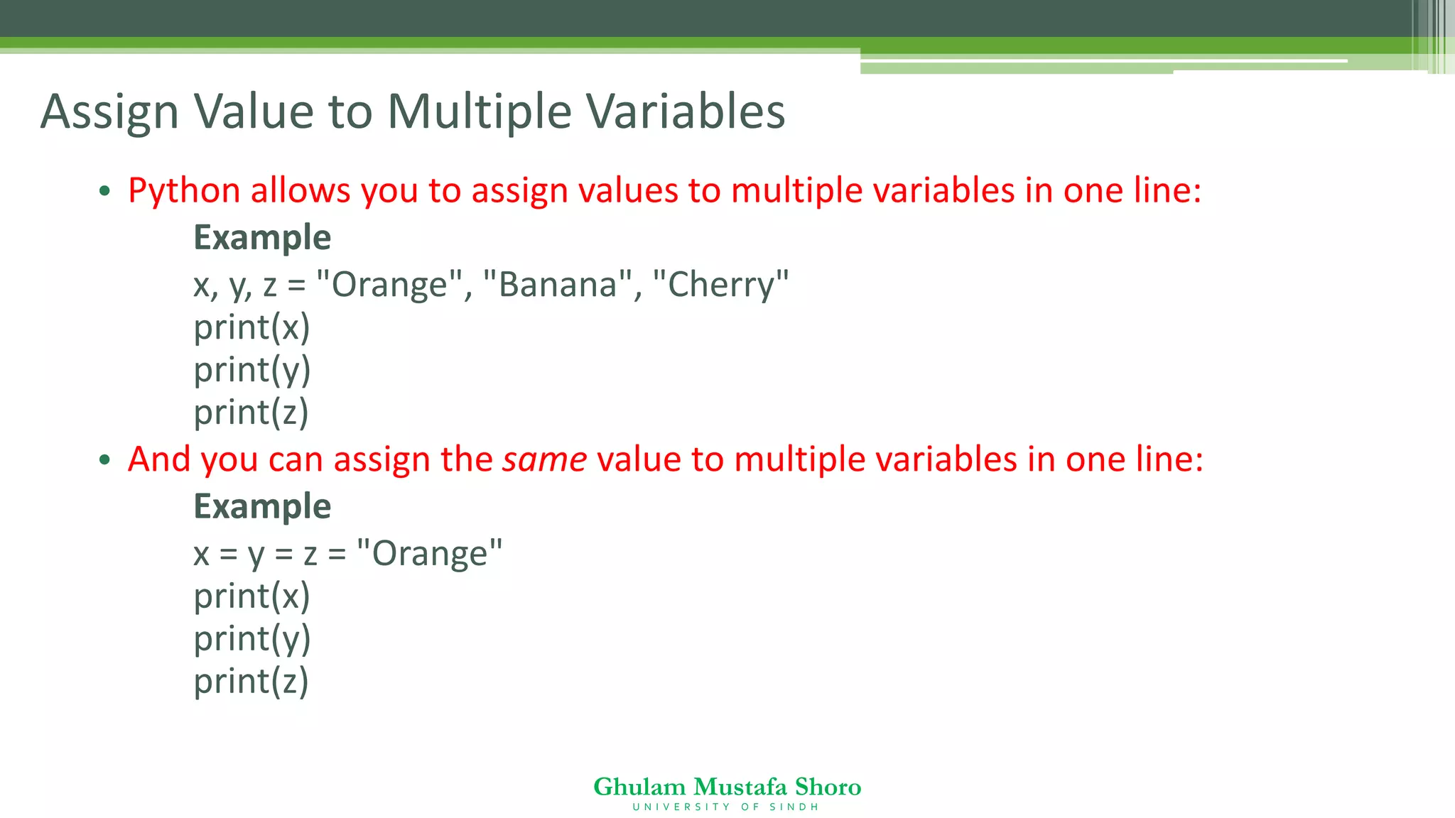 Python Basics.pdf | Programming Languages | Computing