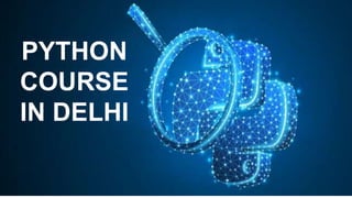 PYTHON COURSE IN DELHI | PPT