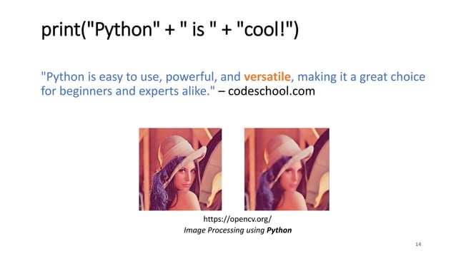 Learn Python 3 for absolute beginners | PDF