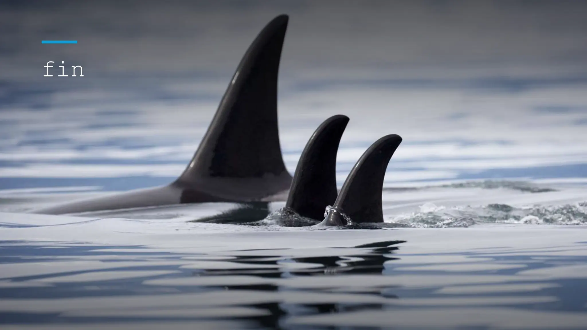 python creacion y actualizacion pptx.pptx