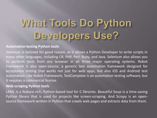 Python Development.pptx