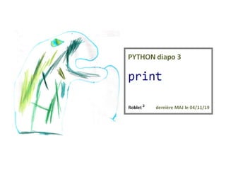 langage de programmation python : instruction print | PPTX