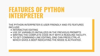 Python Interpreter.pdf