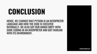 Python Interpreter.pdf