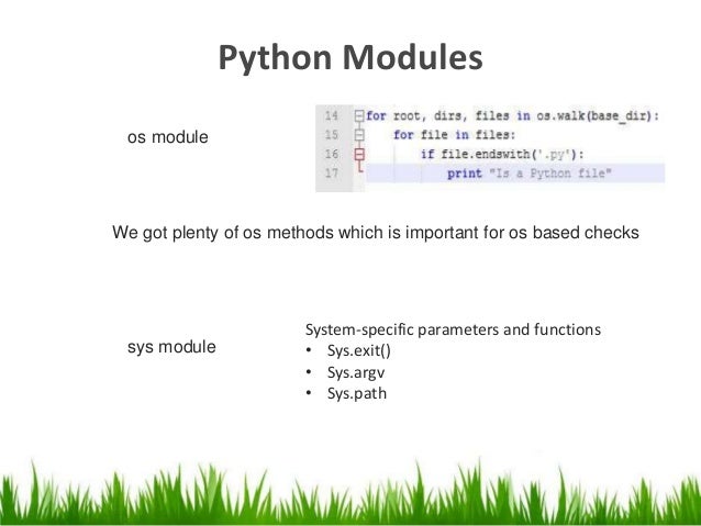 Python In Test Automation