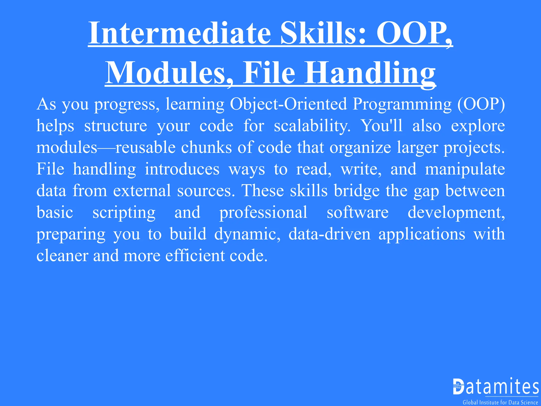 Python Learning Roadmap Beginner to Pro (2025).pptx