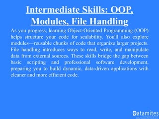 Python Learning Roadmap Beginner to Pro (2025).pptx