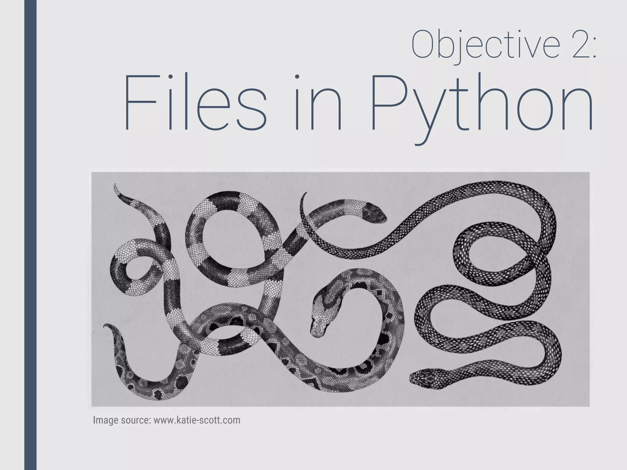 Introduction to Python for Bioinformatics | PDF