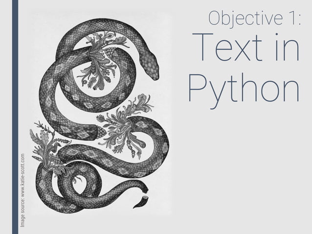 Introduction to Python for Bioinformatics | PDF