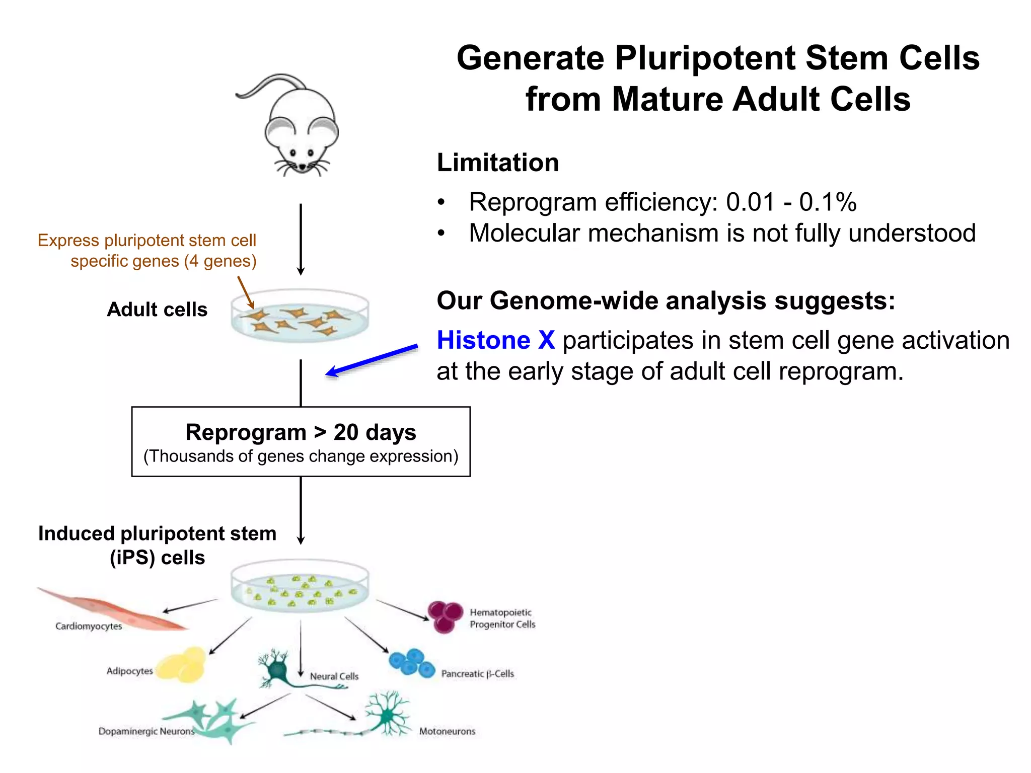 Python meetup 2014 | PPT