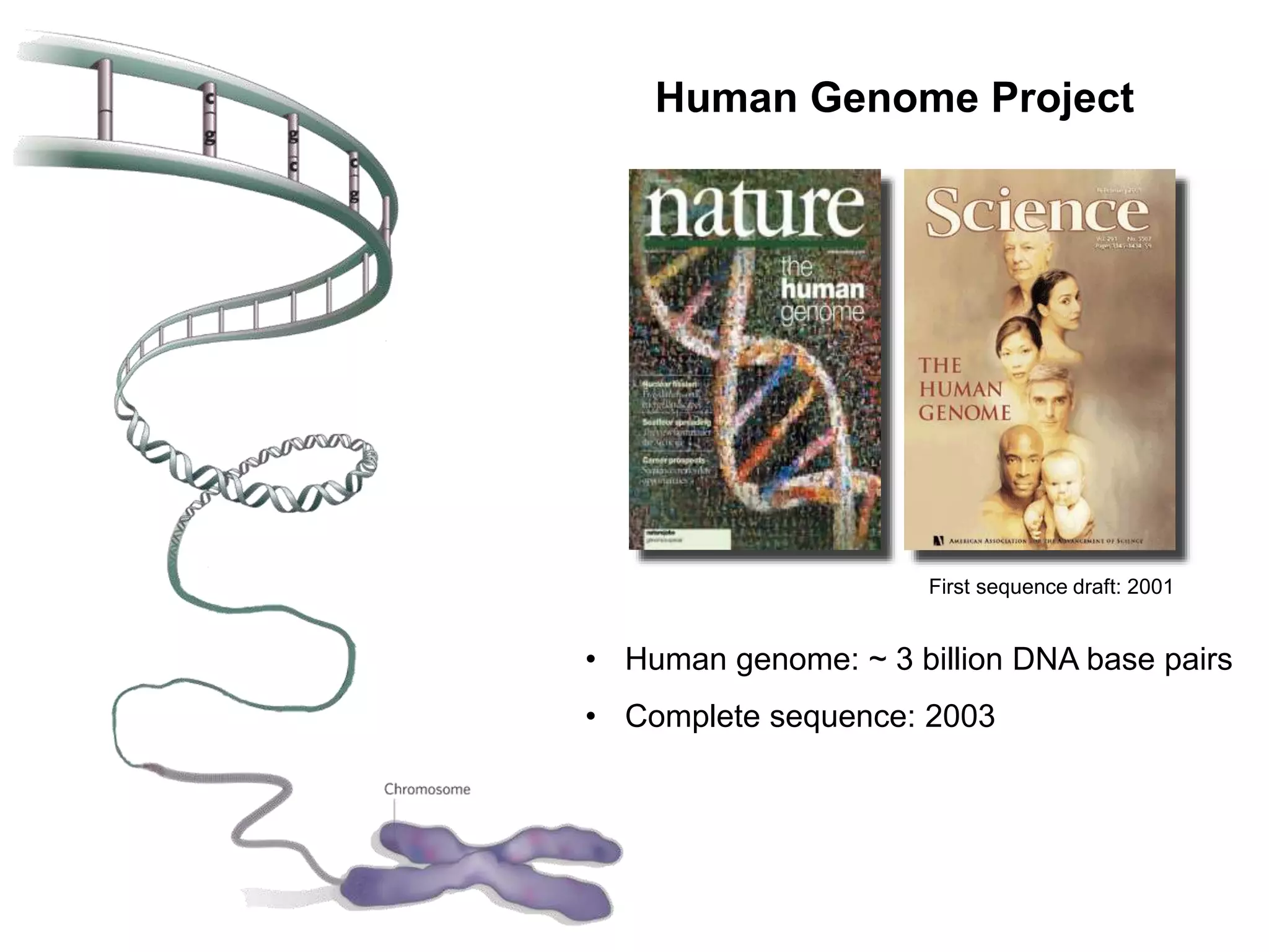 Python Meetup 2014 Ppt