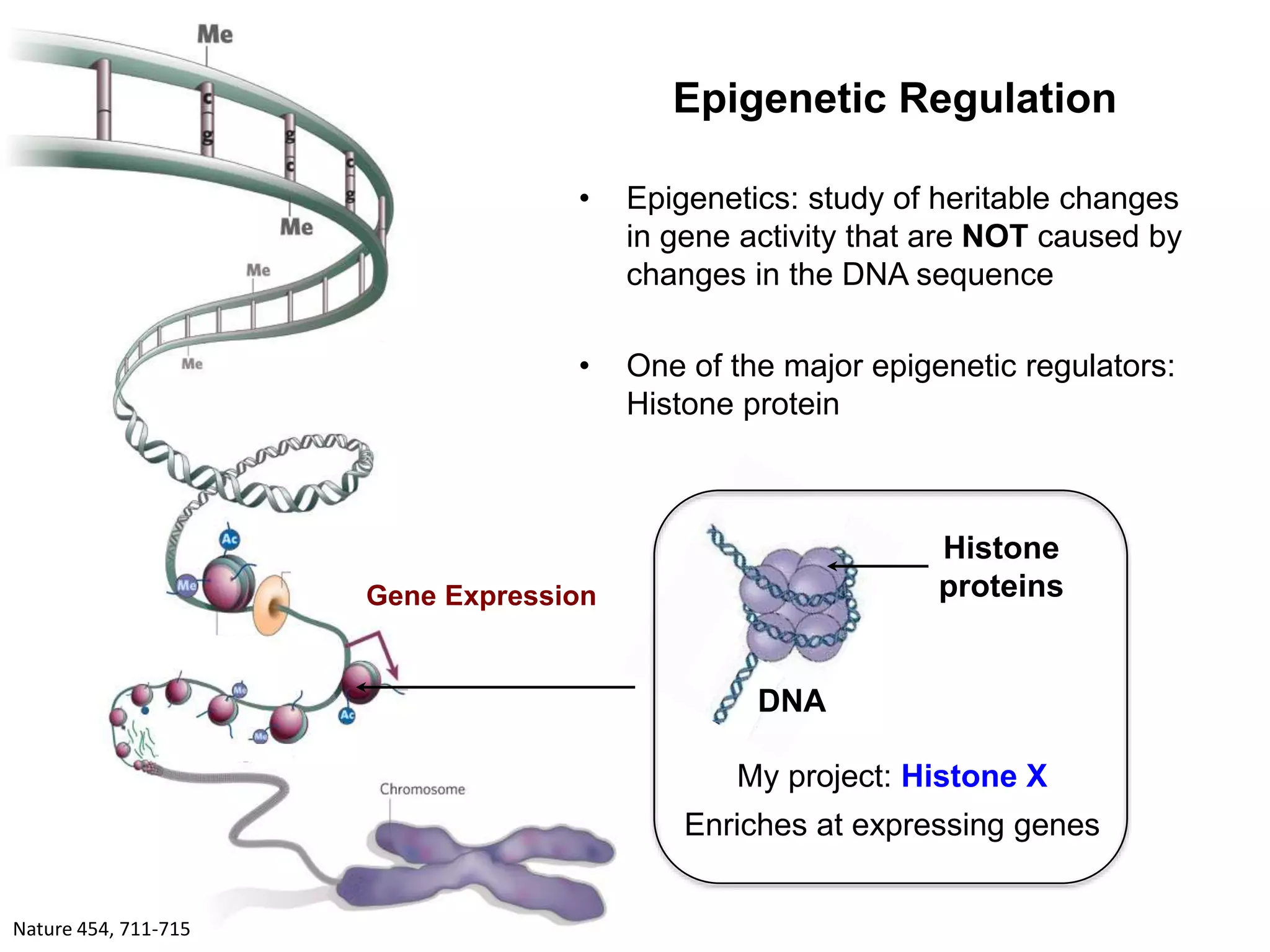 Python meetup 2014 | PPT