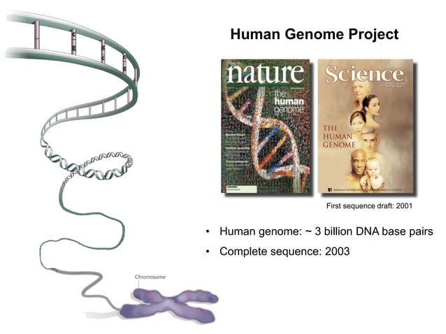 Python meetup 2014 | PPTX
