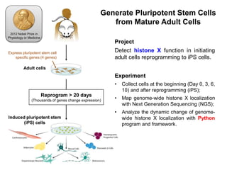 Python meetup 2014 | PPTX