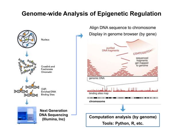 Python Meetup 2014 Pptx