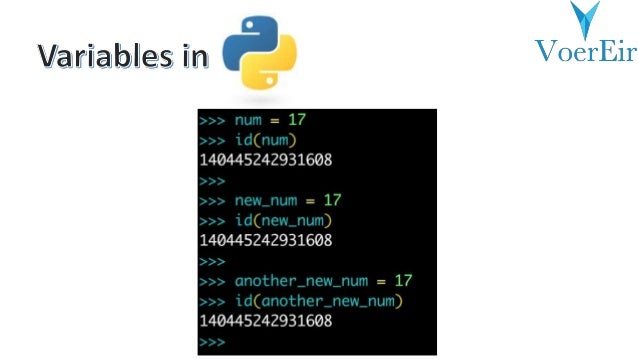 Python Memory Management