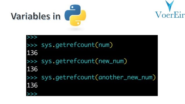 Python Memory Management