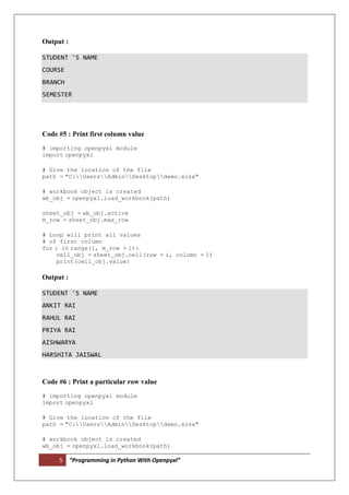 Python openpyxl | PDF