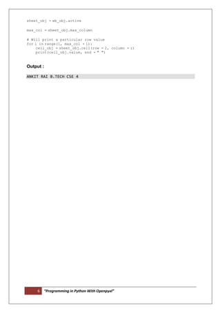 Python openpyxl | PDF