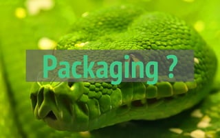 Python packaging | PPT