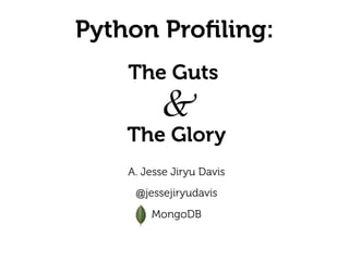 Python Performance Profiling: The Guts And The Glory | PPT