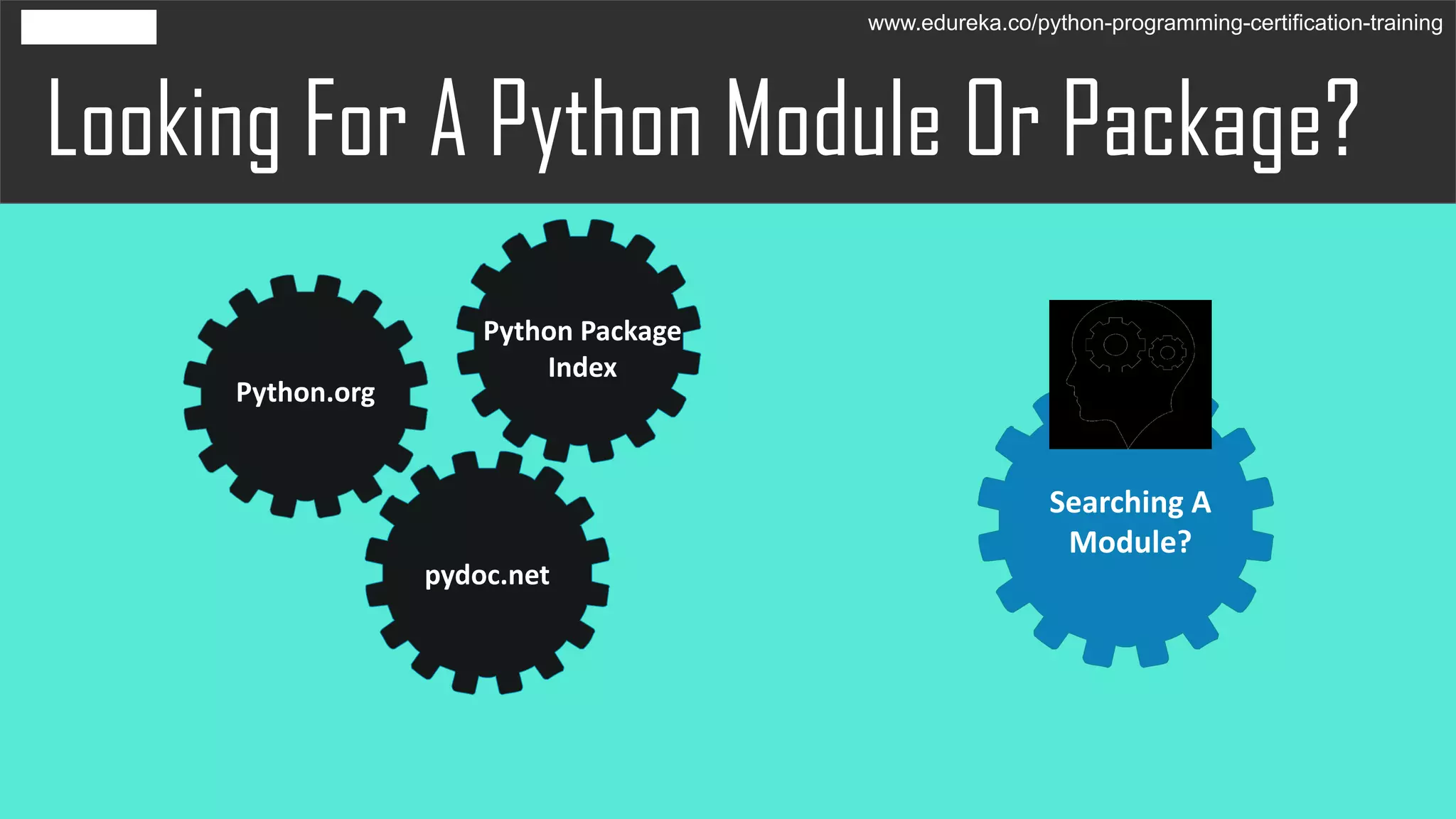 Python Programming Tutorial Edureka Ppt 4501