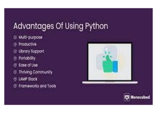 python programming.pdf