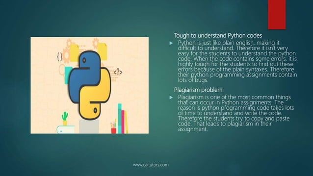 Python Programming Assignment Help Pptx Programming Languages Computing