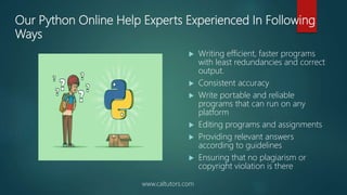 Python programming assignment help | PPT