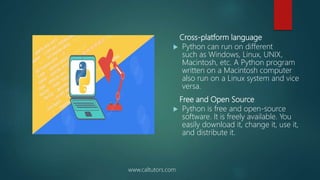 Python programming assignment help | PPT