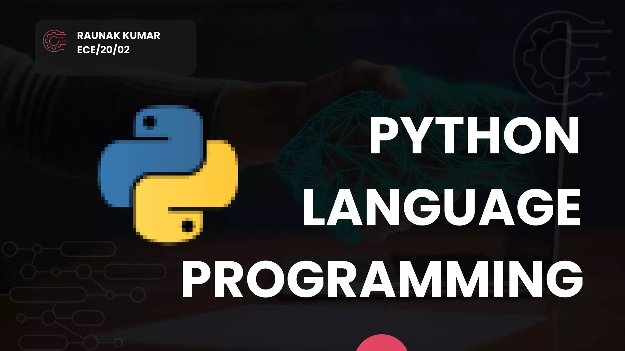 _python Raunak.pptx