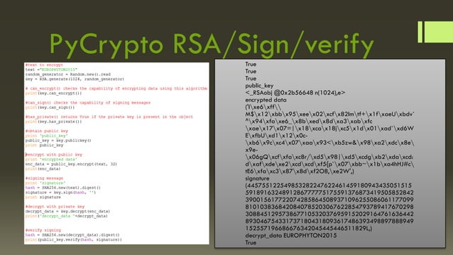 Python Cryptography & Security | PPT