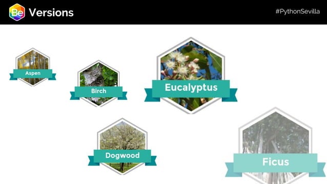 Open edX, first steps | PPT