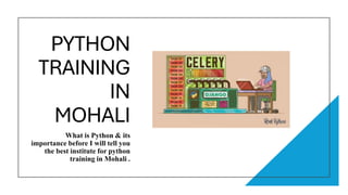 Python Training in Mohali............... | PPT