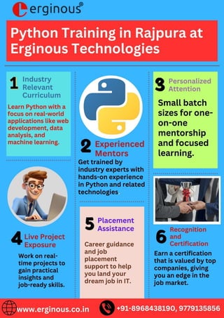 Python Training in Rajpura| Erginous infographic | PDF