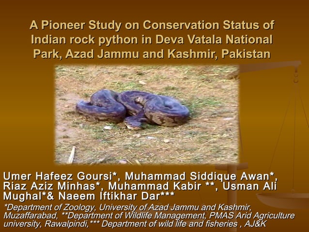 Python umer gorci final | PPT