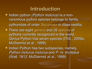 Python umer gorci final | PPT