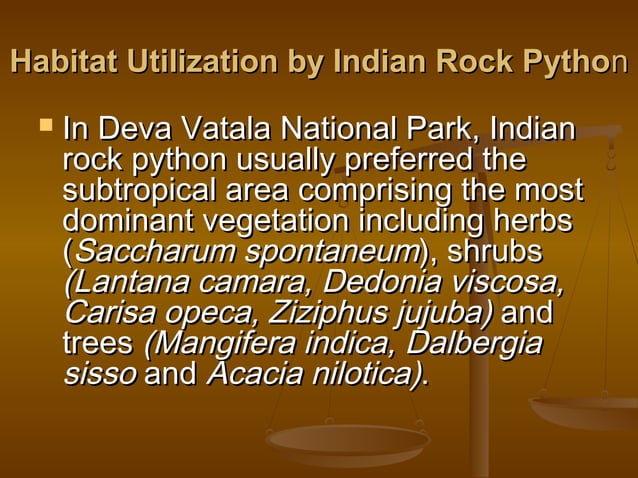 Python umer gorci final | PPT