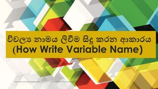 Python variables (පයිතන් විචල්‍ය) | PDF