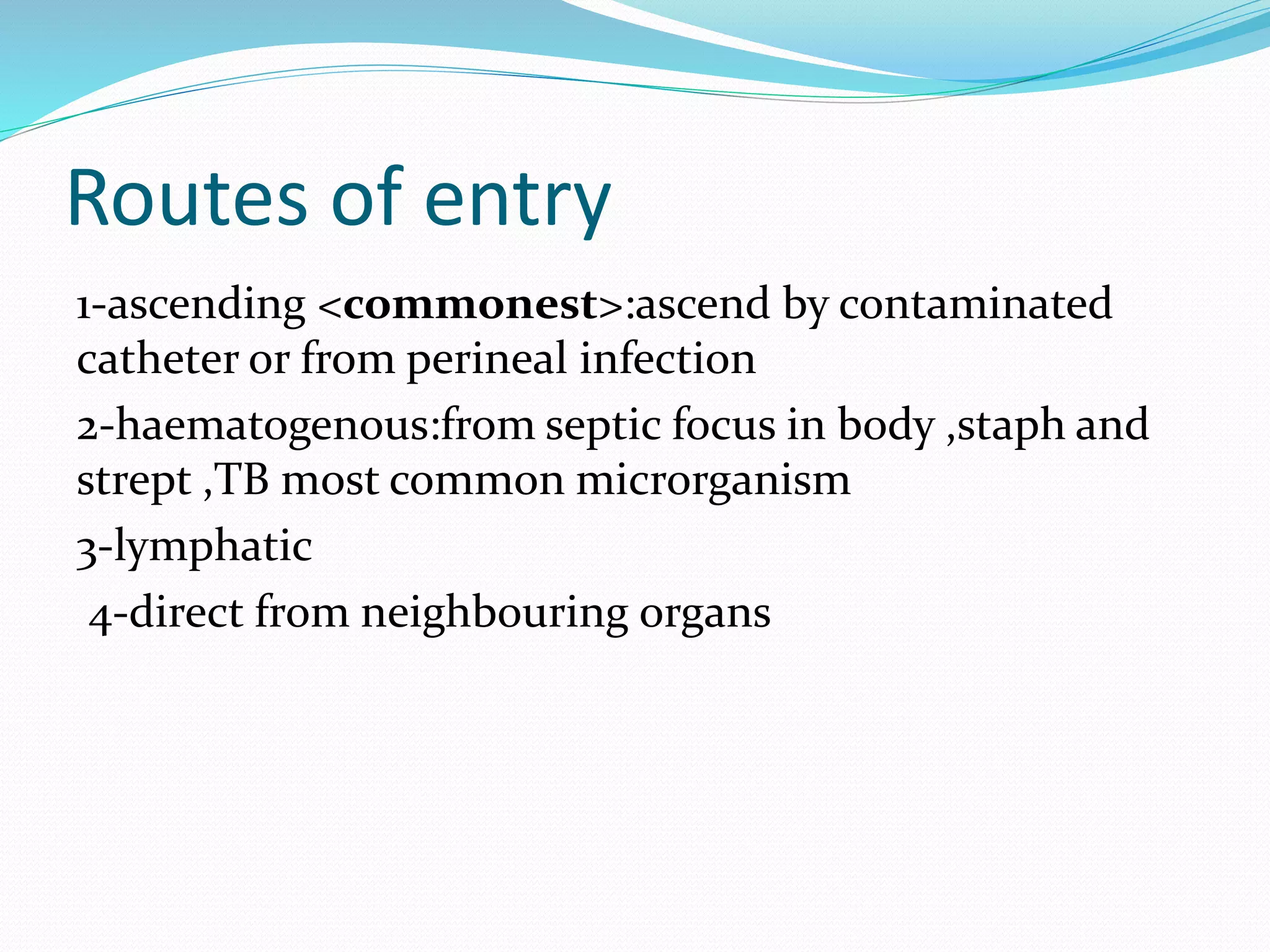 Pyuria and urinary tract infection 2 | PPTX