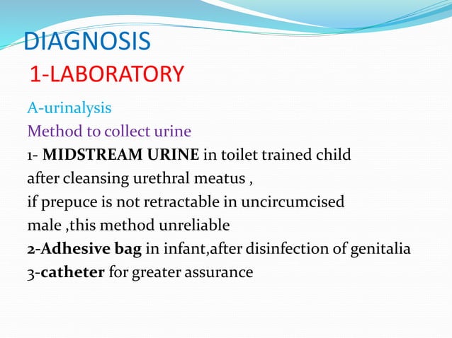 Pyuria and urinary tract infection 2 | PPT