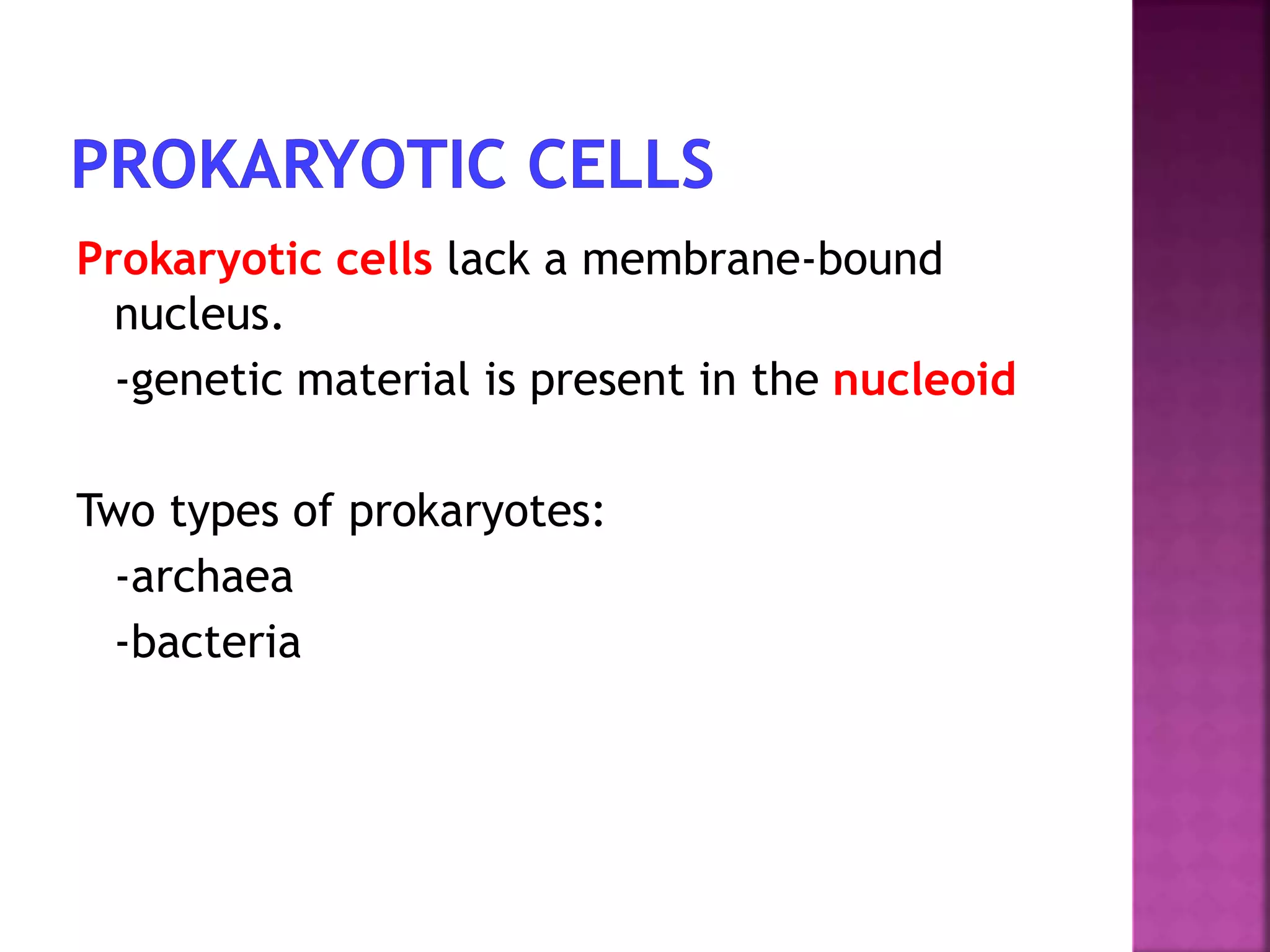 Pyur Life Cell Structure And Function Ppt