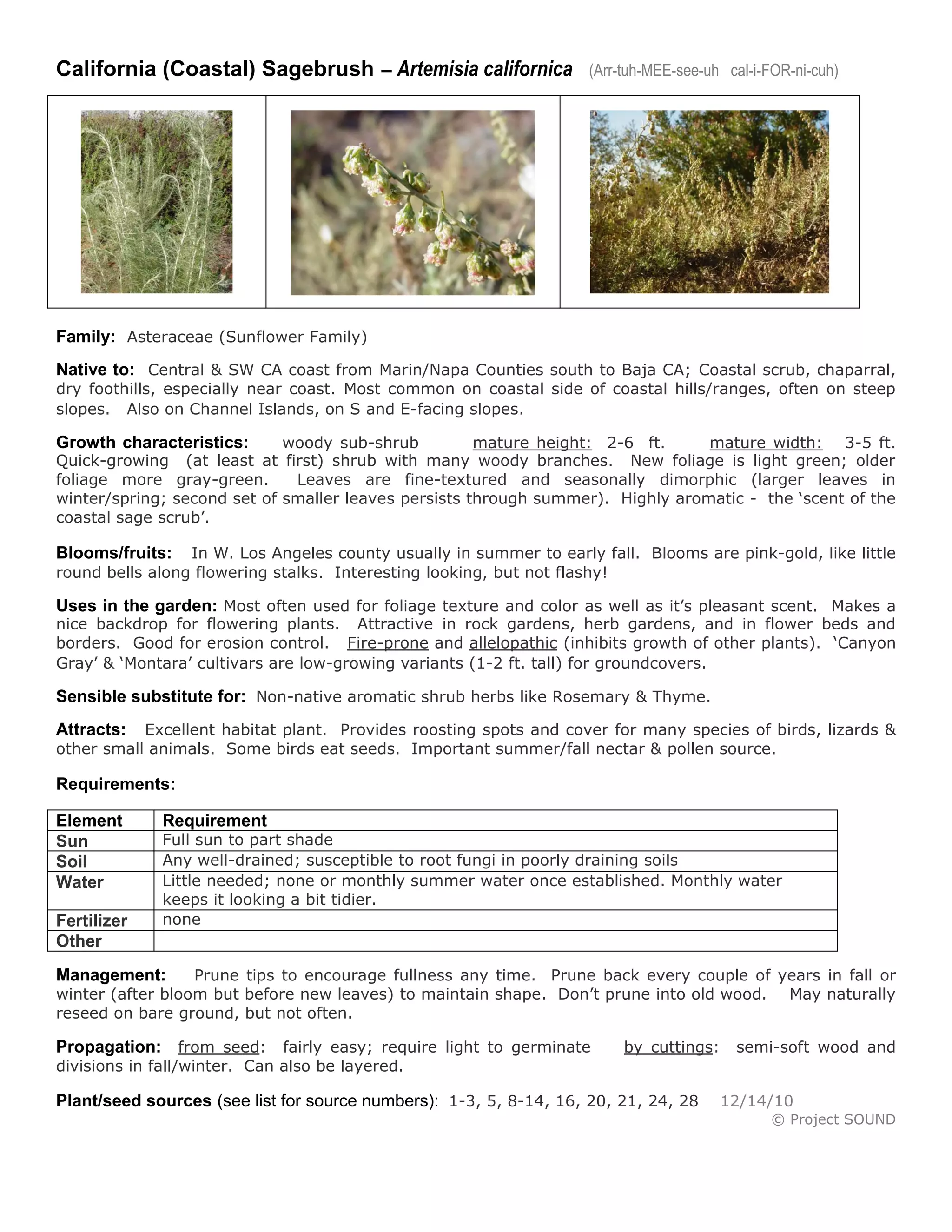 Q artemisia californica | PDF