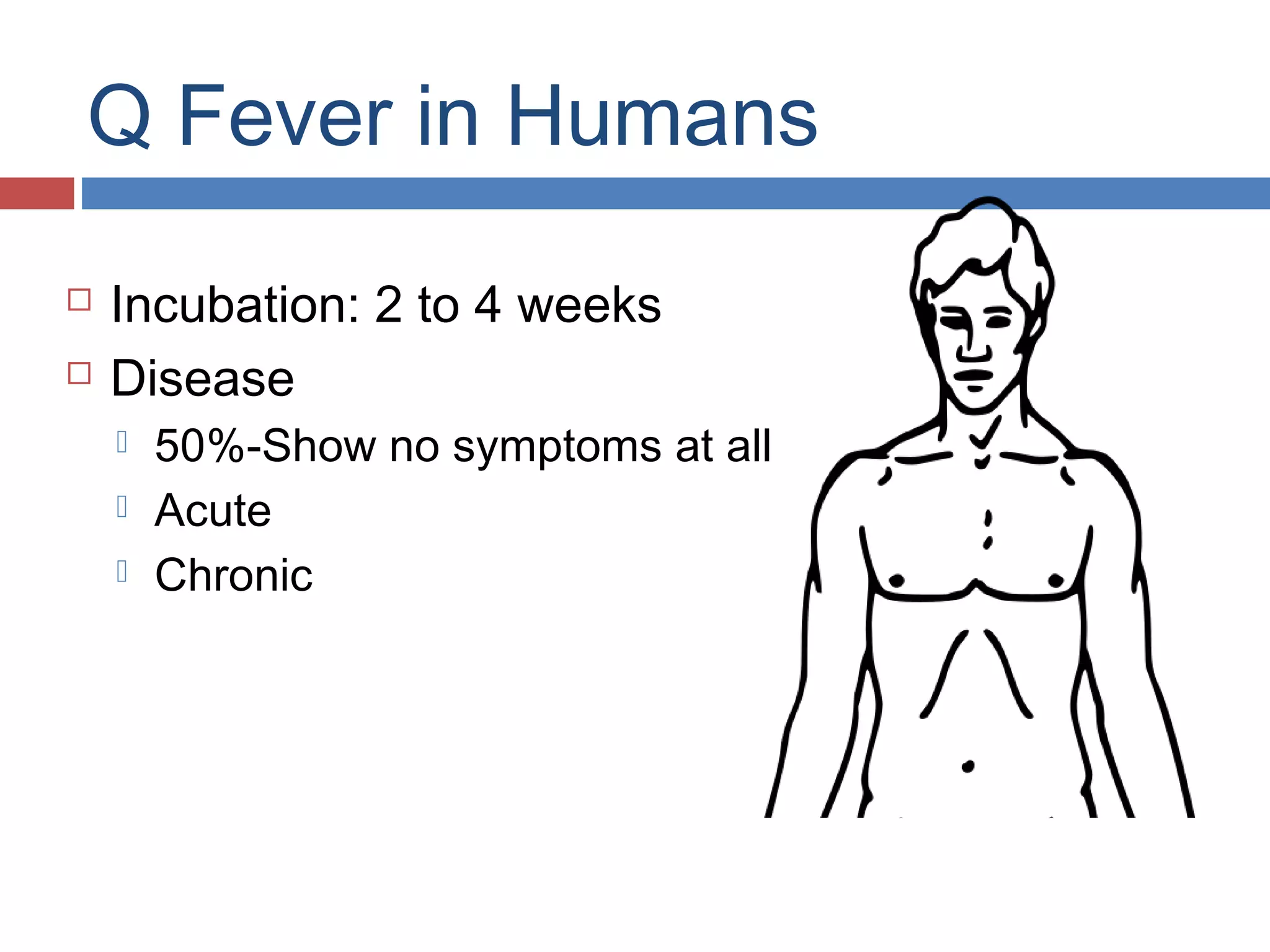 Q fever | PPT